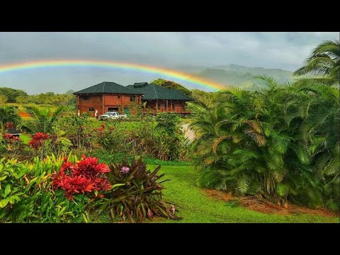1791-A MAKALEHA PL, KAPAA, HI Presented by Anne Eliason.