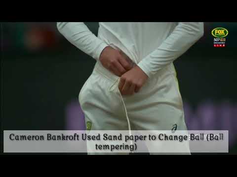 Rise Of David Warner After Ball temporing | David warner Motivation Video | David warner fighter