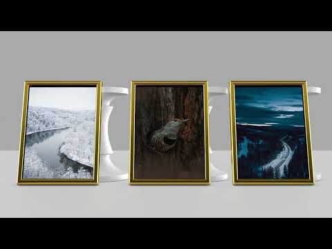 Clean Photos Gallery After Effects Template