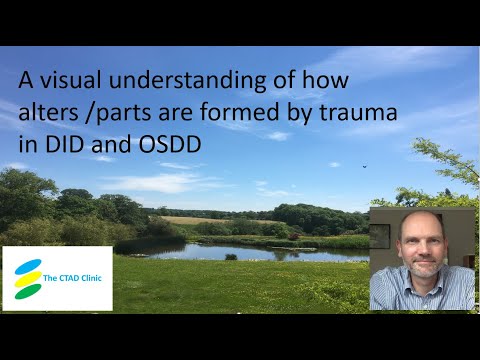 A visual understanding of how alters / parts are formed by trauma in DID and OSDD