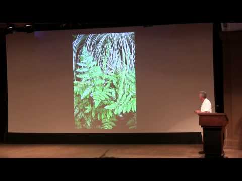 Next Generation Pteridology: International Conference on Lycophyte & Fern Research