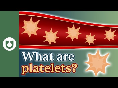 What are platelets? #AML