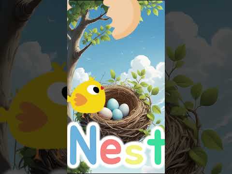 M is for Mountains, N is for Nest! – Nature’s ABC Wonders ⛰️🪺