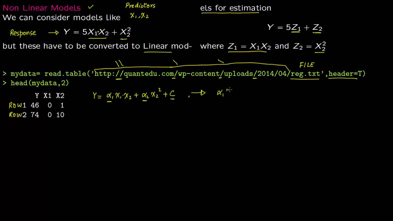 Non Linear Models