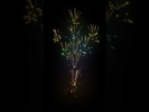 Fireworks Show