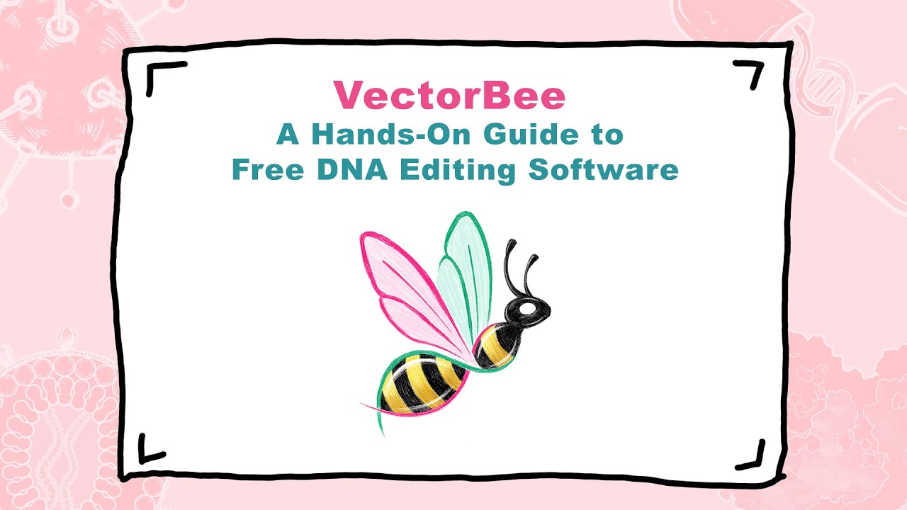 VectorBee: A Hands-On Guide to Free DNA Editing Software