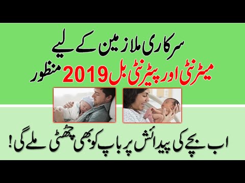 Maternity and Paternity Leave Bill 2019 to be implemented | Government Employees Leave