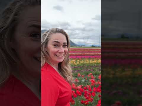 Abbotsford Tulip Festival at Lakeland Flowers