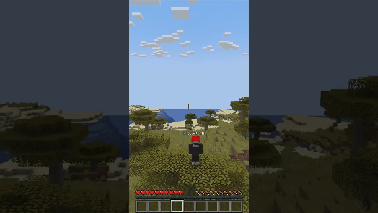 [FREE] /fly Plugin (1.19+) #shorts #minecraft