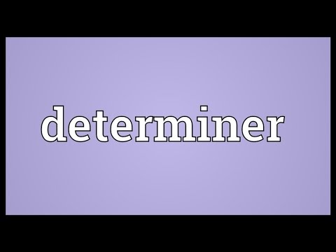Determiner Meaning