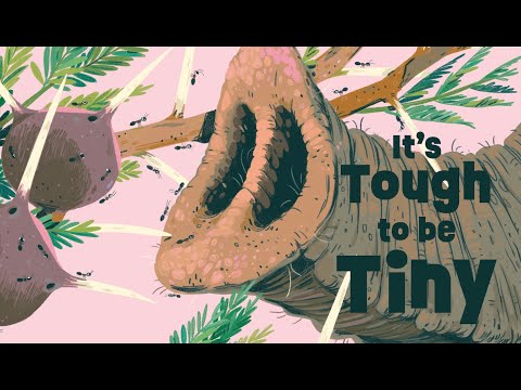 Ants and Acacia Trees with Kim Ryall Woolcock | It's Tough to be Tiny