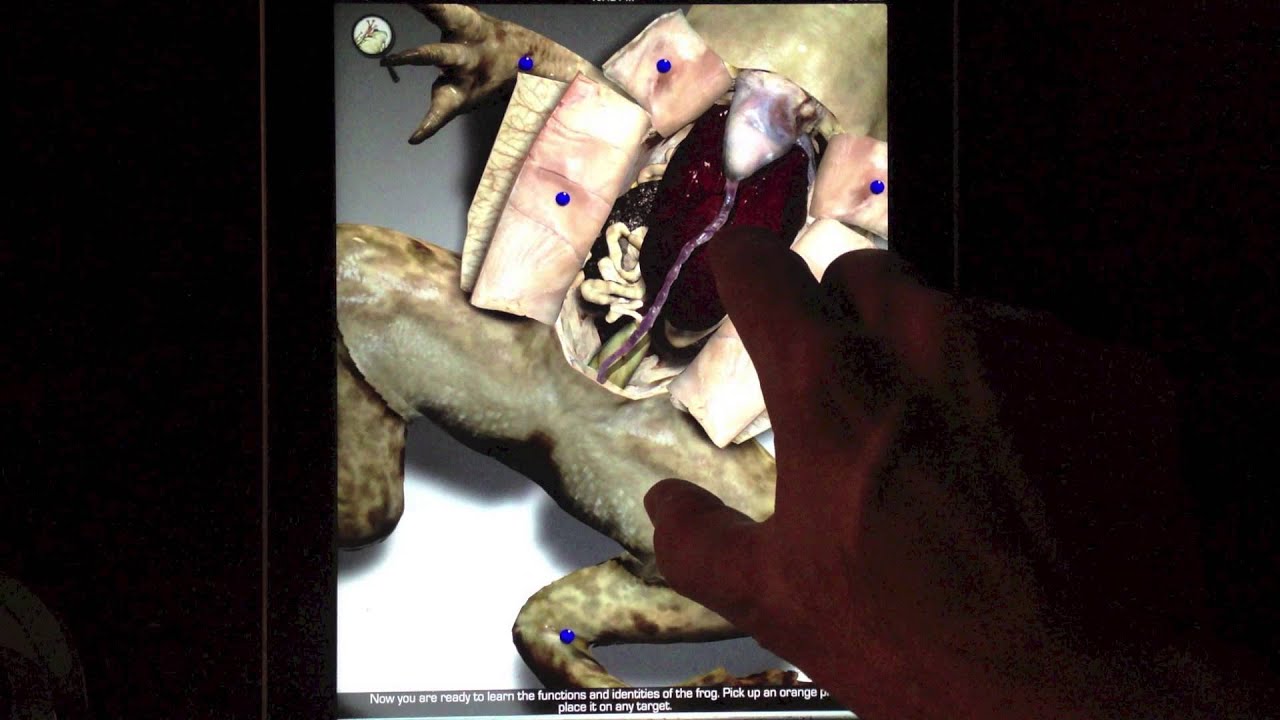 Froguts Frog Dissection for iPad , iPhone,  & Android