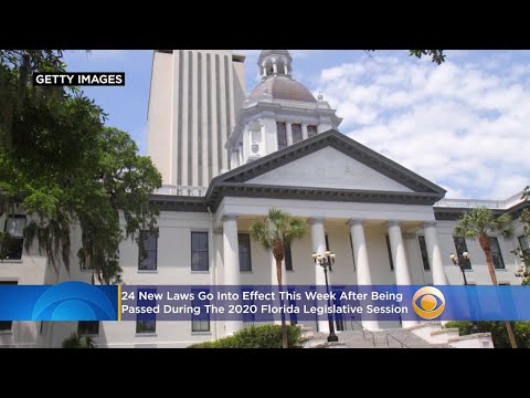 New Florida Laws On License Plates, Veterans, Shark Fins Hitting The Books This Week
