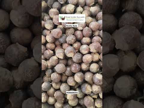 Soap Nut - Ritha Latest Price, Manufacturers & Suppliers