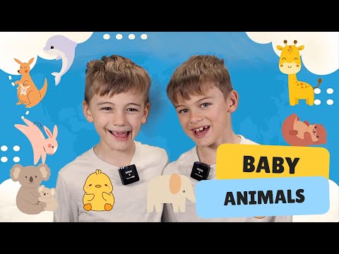 Adorable Baby Animals! | 40+ Baby Animal Names