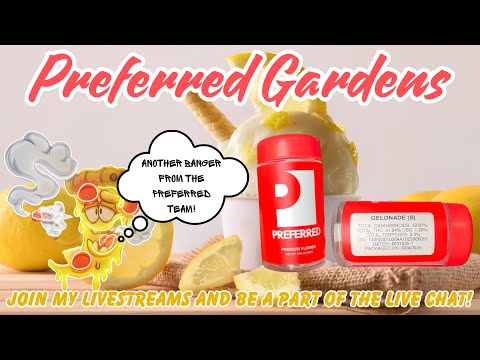PREFERRED GARDENS FLOWER REVIEW: Gelonade (🍋🍦🔥) Another Banger!