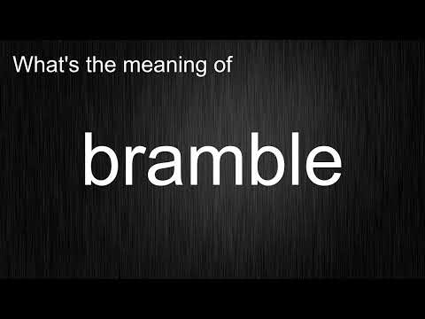 What's the meaning of "bramble", How to pronounce bramble?