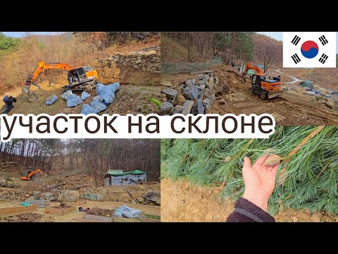 Начало работ на нашем участке / KOREA VLOG