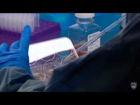 Regenerative Medicine: Making the Impossible Possible
