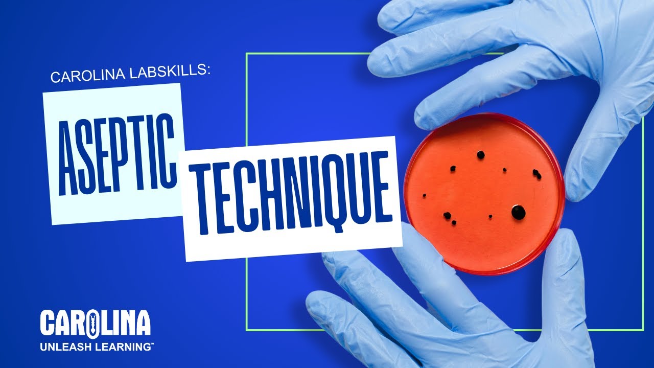 Mastering Aseptic Technique: Essential Practices for Microbiology ...