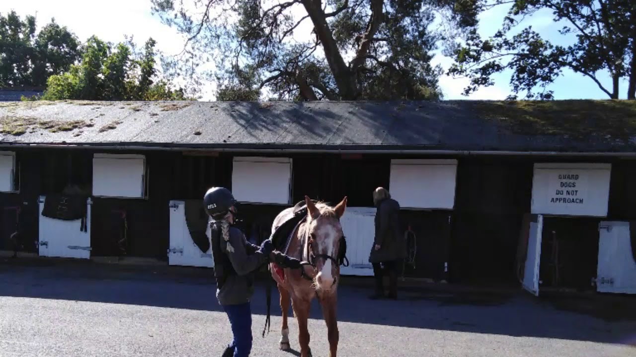Burley Villa Horse Riding