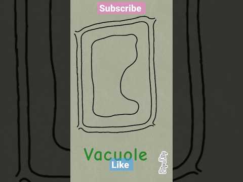 Drawing plant cell structure| Botany/Biology|science
