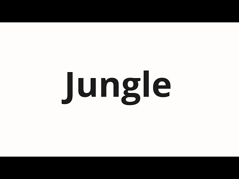 How to pronounce Jungle