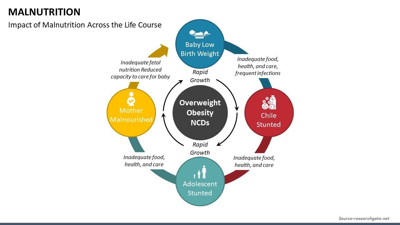 Malnutrition Animated PPT Template