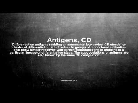Medical vocabulary: What does Antigens, CD mean