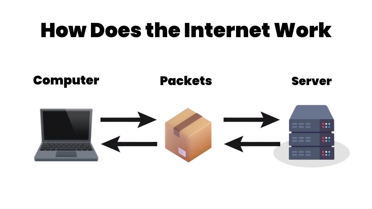 How Does the Internet Work? A Beginner's Guide to the World Wide Web
