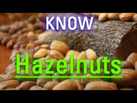 What is Hazelnuts? | How to Say Hazelnuts in English? | How Does Hazelnuts Look?