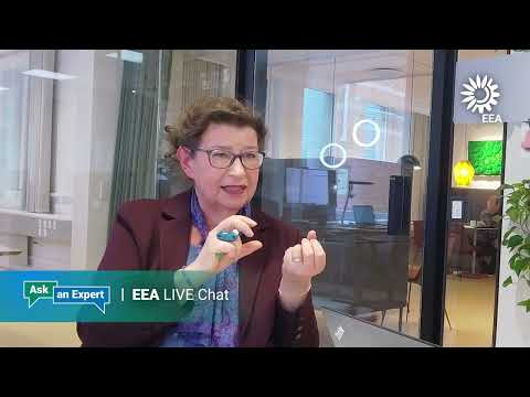 EEA Ask an Expert - conversation with our Executive Director