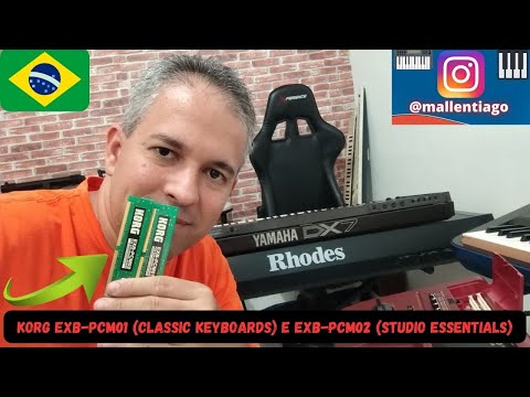 Korg EXB-PCM01 (PCM-01) Pianos/Classic Keyboards Ram PCM | Reverb
