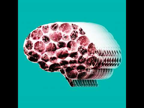 Breaking down the winner's curse: Lessons from brain-wide association studies