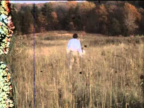 absurd encounter with fear / david lynch. 1967 | slowforward