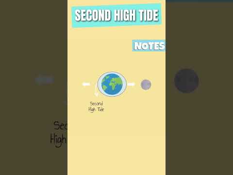 The Moon & Water Tides | High Tides, Low Tides, Spring Tides, Neap Tides