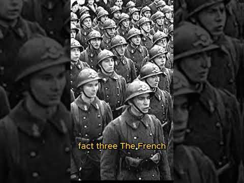 Here are 4 crazy facts about WW2 part 10 #ww2 #history #facts #interestingfacts #funfacts