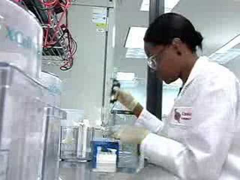 Biomedical Engineers Job Description