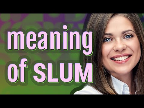 Slum | meaning of Slum