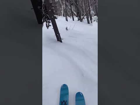 Volkl Mantra and Kendo ski review