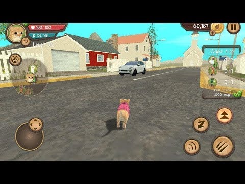Cat Sim Online: Play with Cats Android Gameplay Ep 26