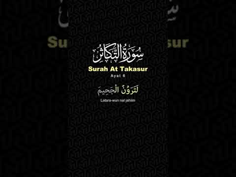 Surah At Takasur Ayat 6 - Al Quran Dan Terjemahan
