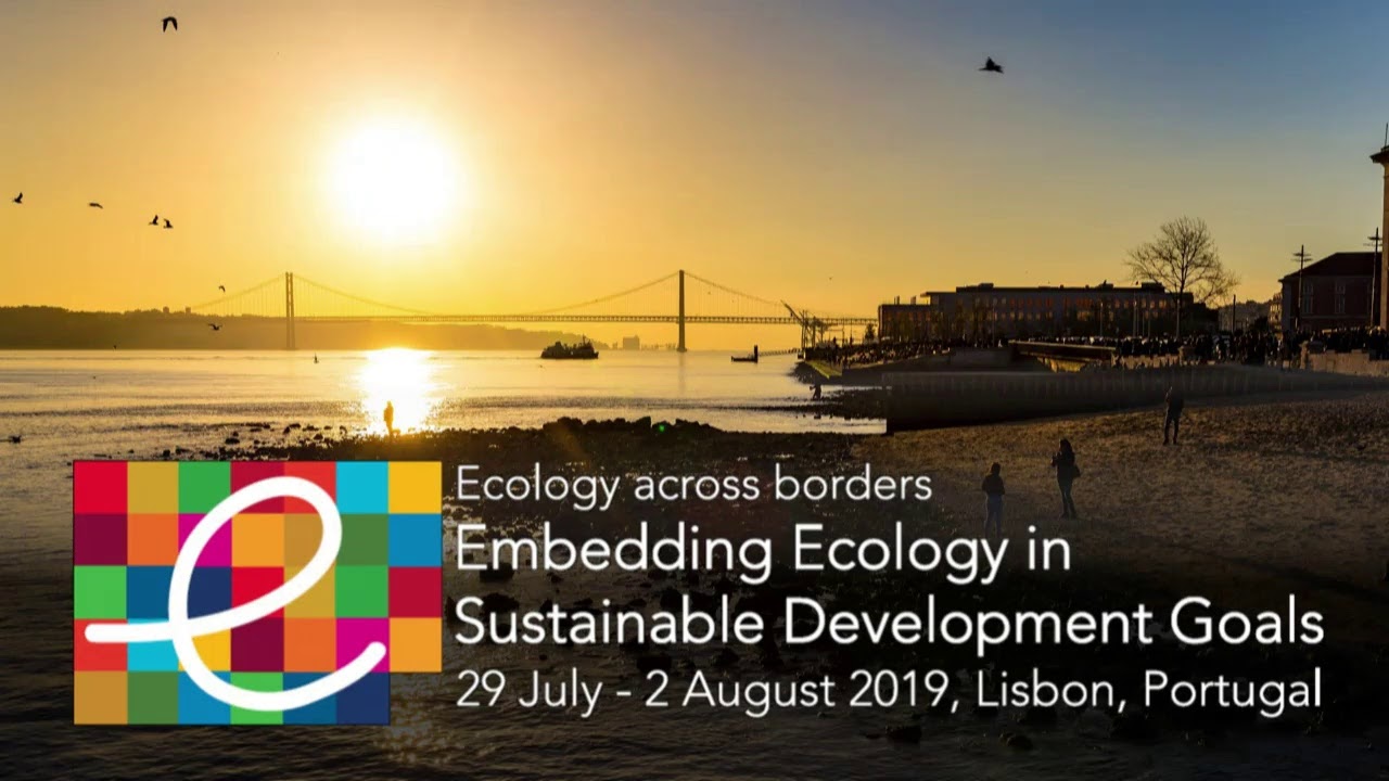 EEFLisbon2019, Day 4, August 1st
