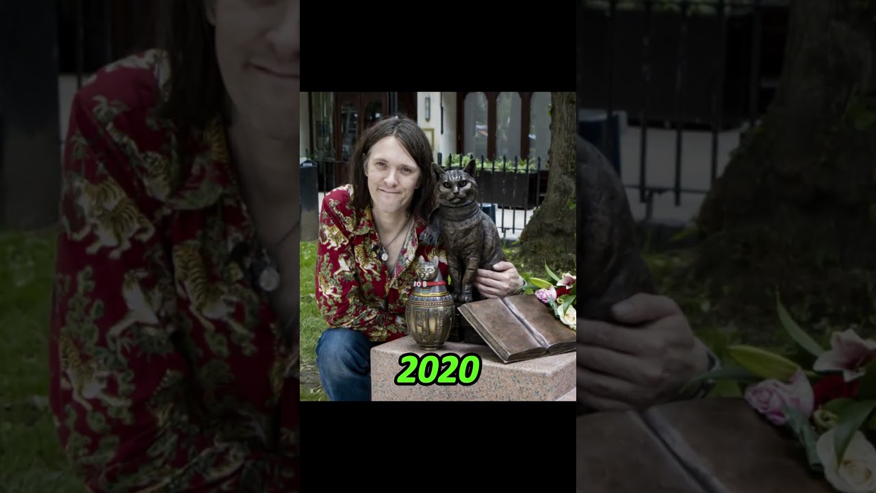 Legendary Cat Memes Who Died Then & Now ❤️🥺