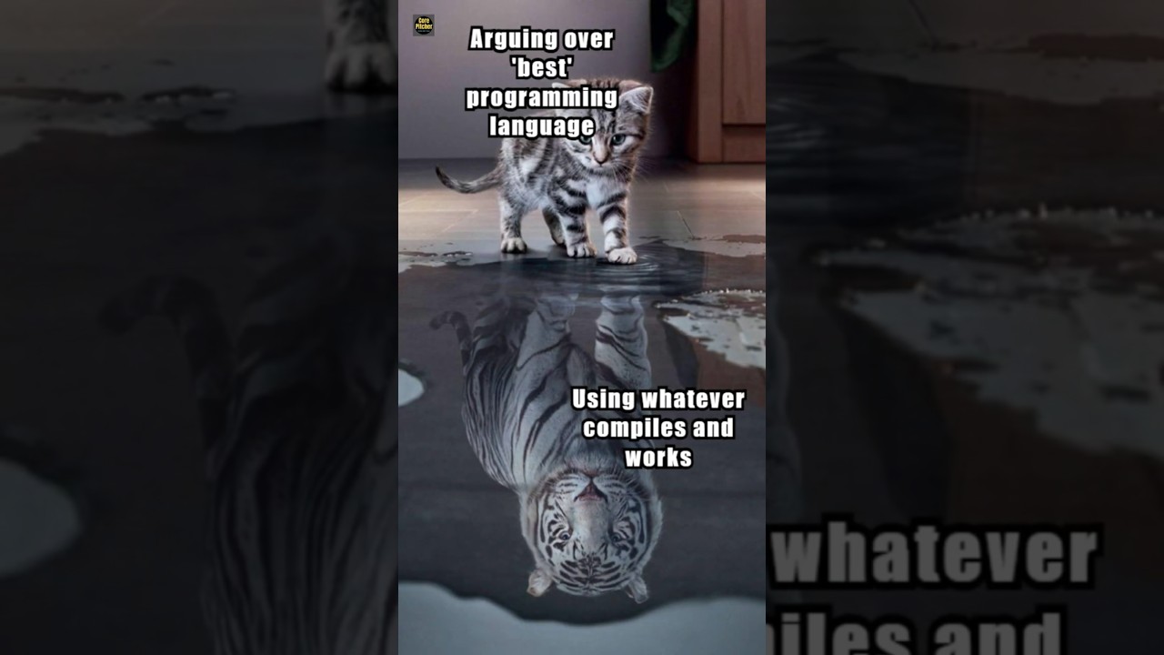 Coding Memes #corepitcher #comedy #education #shortsfeed