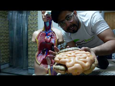 Appendix kya hota hai Hindi mein | Appendix ke lakshan | Appendix ka ilaj
