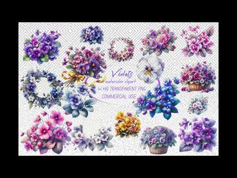 41 Violets flowers watercolor clipart
