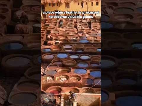 A place where leather is processed to become Valuable goods