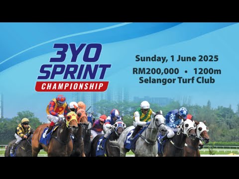 3YO SPRINT CHAMPIONSHIP