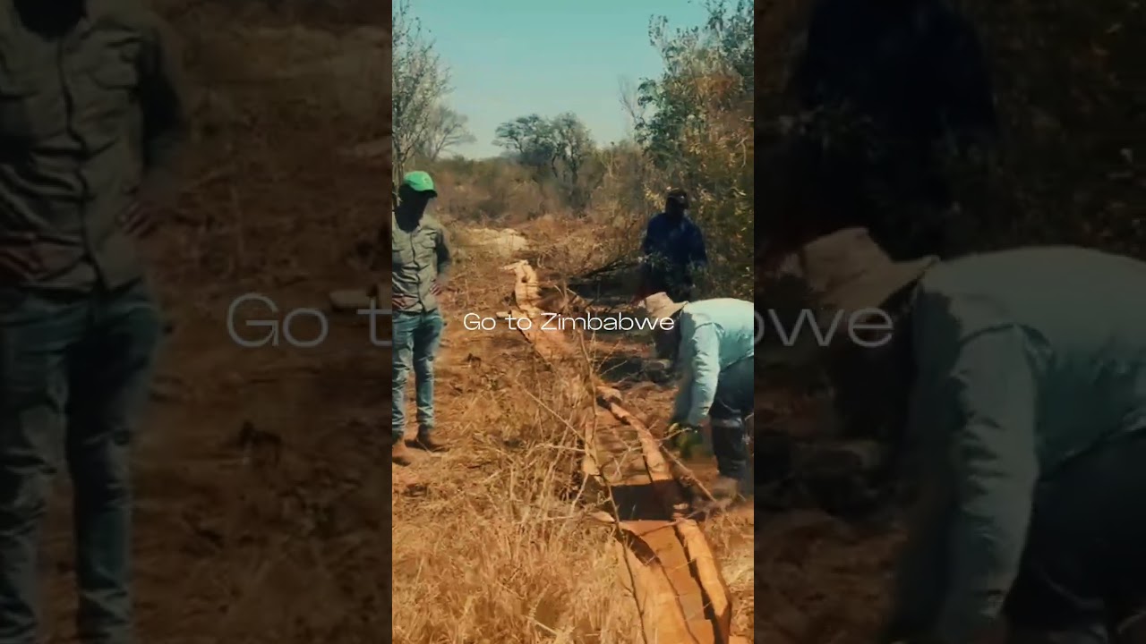 exploration Zimbabwe #shorts #geo #geophysics #minerals #mining #geology #gold #lozaradar  #gprloza